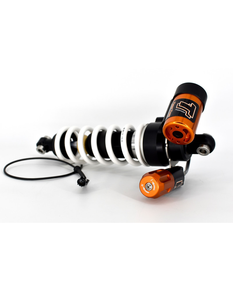TracTive Suspension EX-CELLENT-PA Shock Absorber for BMW S1000RR 2023 ...