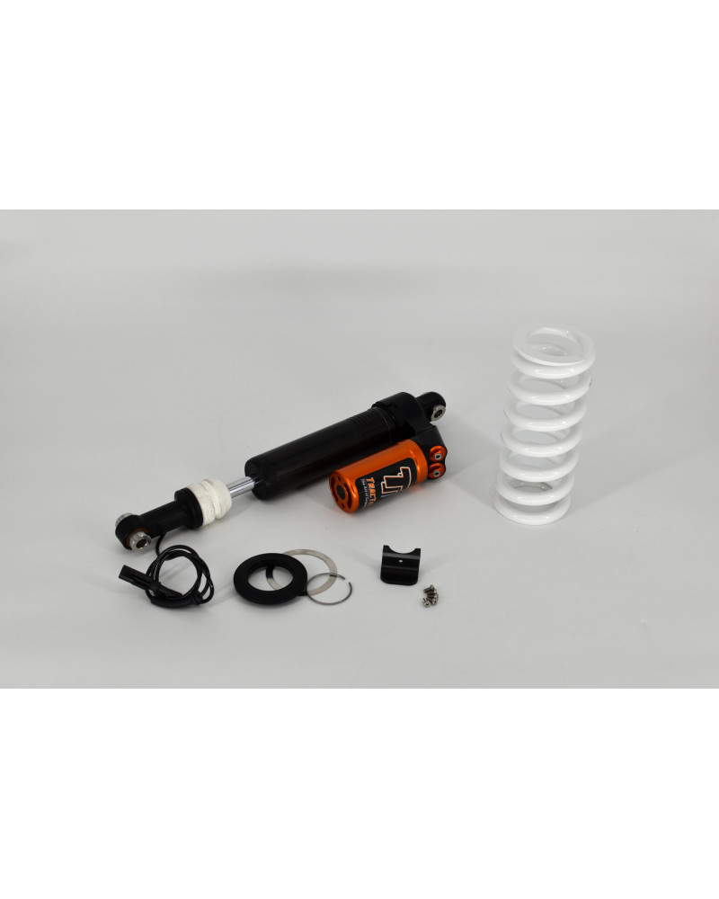 TracTive Suspension eX-CHANGE PRO PDS shock absorb for BMW F900R 2020 ...