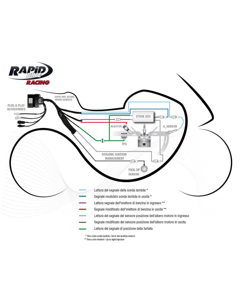 RAPID BIKE | Centralina RACING Kit con cablaggio